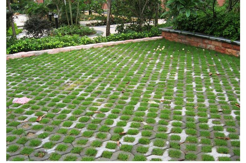 井字砖植草砖 材料混凝土 尺寸190*250 型式长方形 八字形